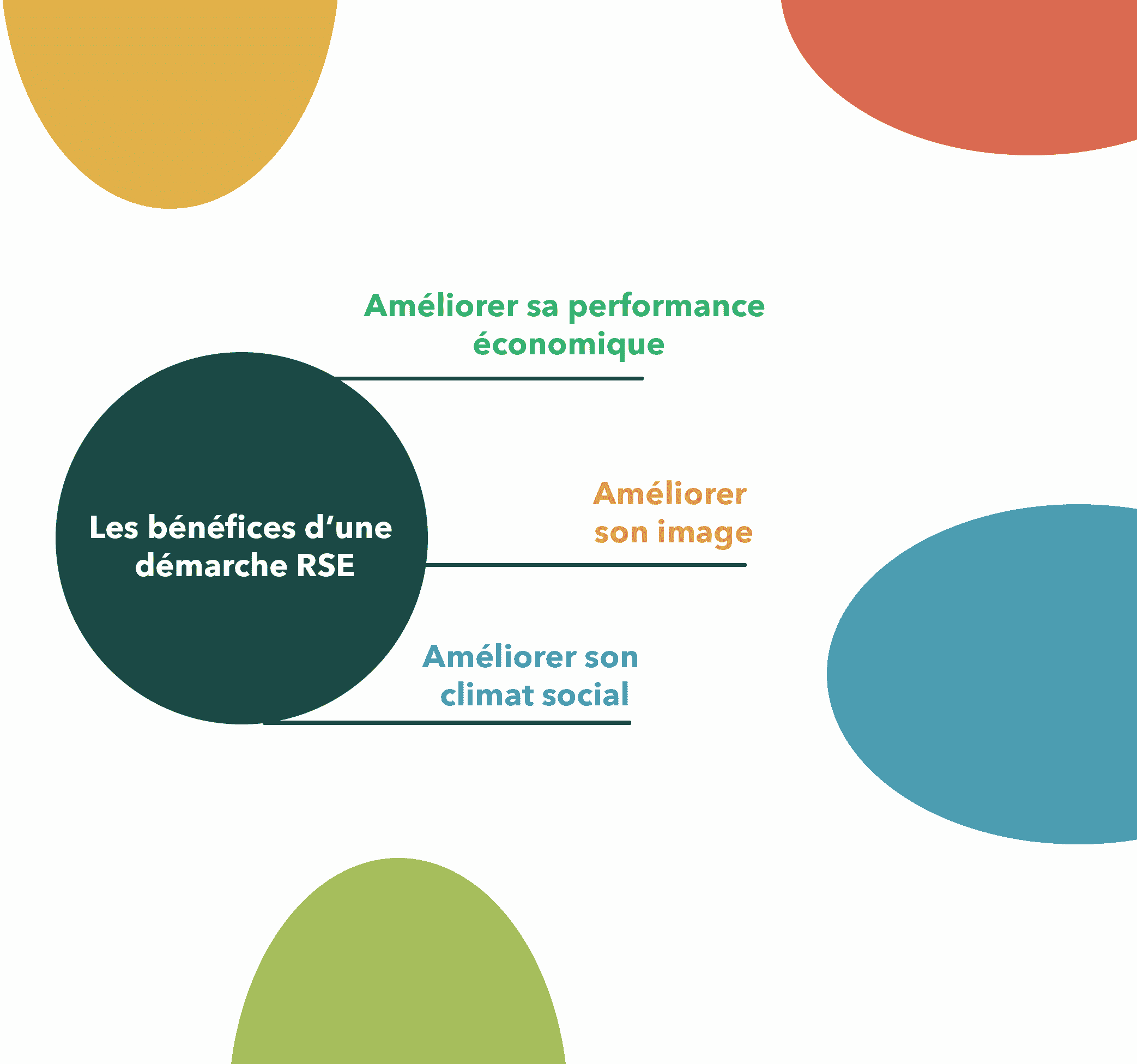 Les 5 étapes clés pour mettre en place une démarche RSE dans son entreprise